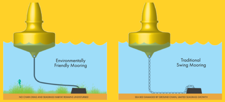 Where are the Public Swing Moorings on Sydney Harbour?