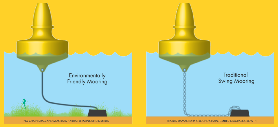 Where are the Public Swing Moorings on Sydney Harbour?